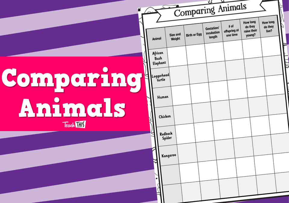 Comparing Animals - Worksheet :: Teacher Resources and Classroom Games :: Teach This